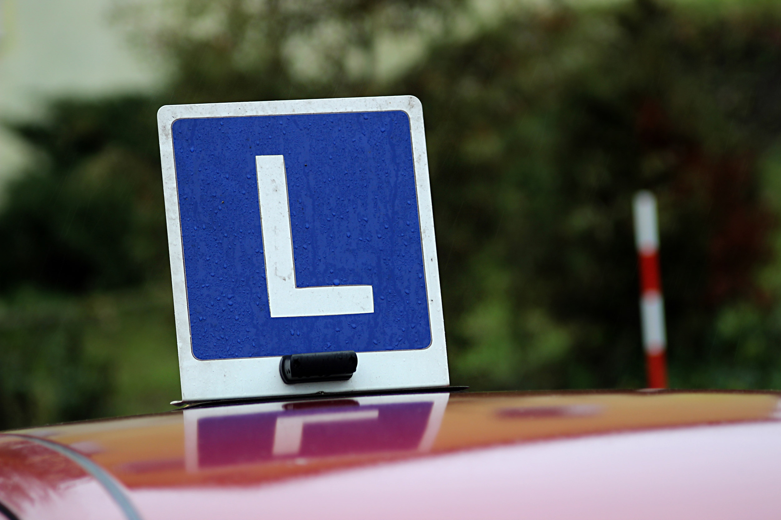 Symbol,Driving,School,L | Warszawa W Pigułce